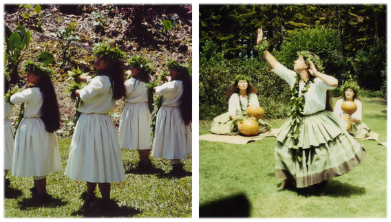 Here You Find the Amazing and Remarkable History of Hula | Temptation Tours