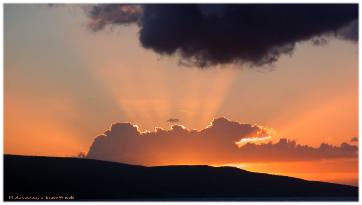 Nā Waiwai Aloha - 28 Hawaiian Values | Temptation Tours