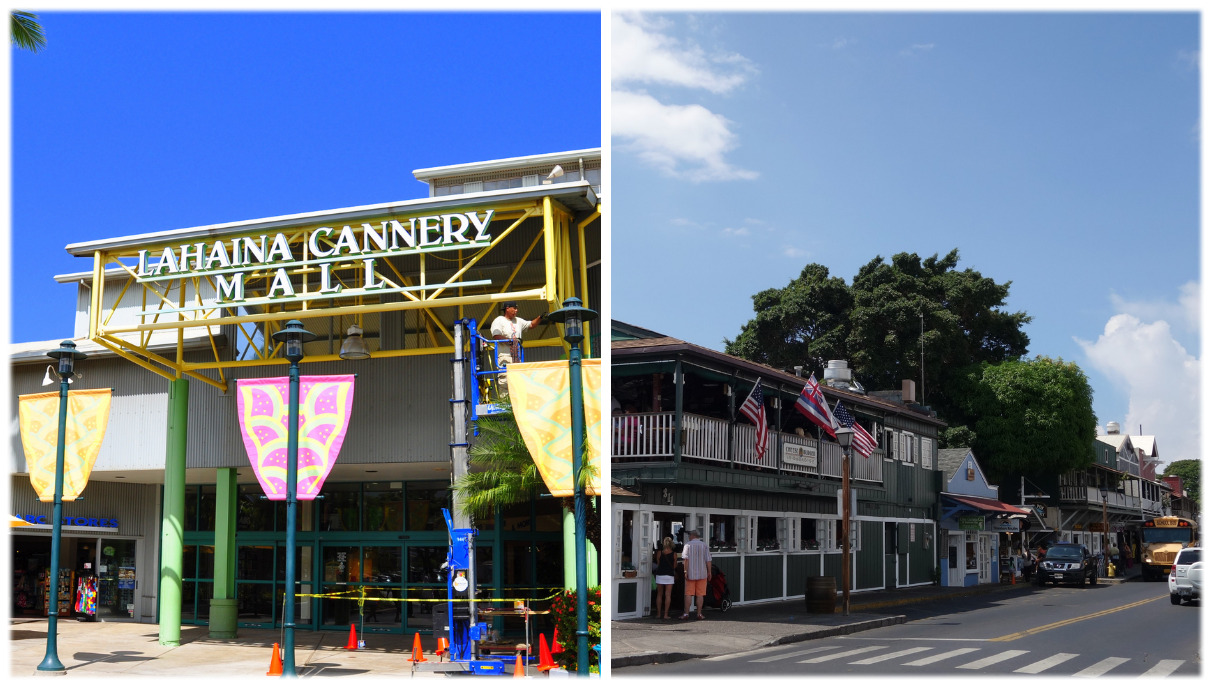 A Trip Down Memory Lane - The Rich, Colorful, and Vibrant History of ...