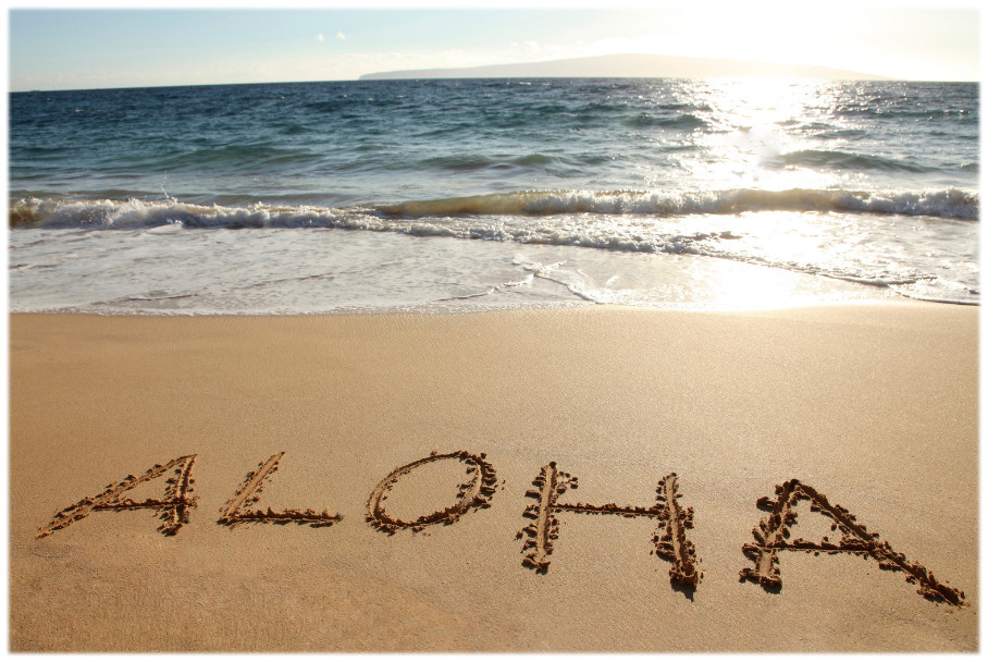 We Have Reached a Huge Milestone, 1,000 5-Star Reviews on Tripadvisor ...