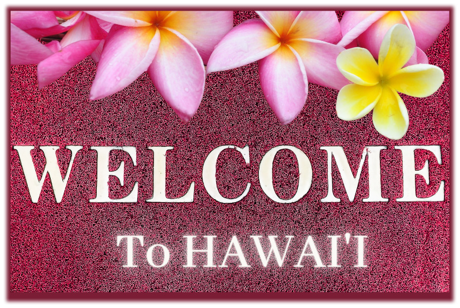 We Are Delighted to Help You Plan Your Next Great Adventure in Maui ...