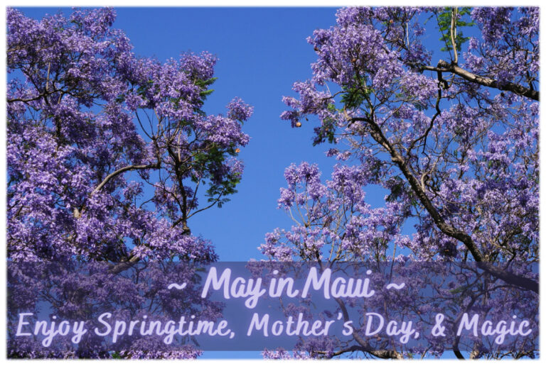 May in Maui - Enjoy Springtime, Mother’s Day, and Magic | Temptation Tours
