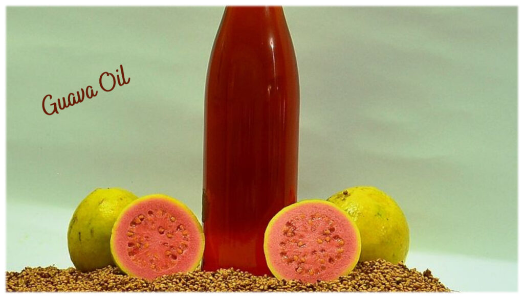 A Little Fruit With a Big Story - The Uses of Guava in Hawai'i ...